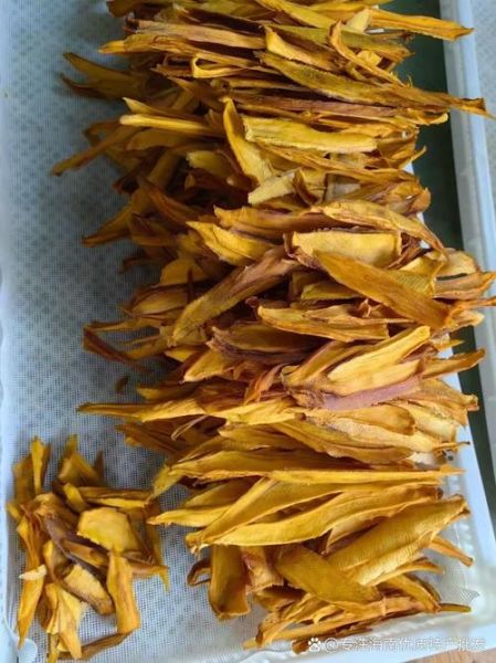 吃不完的芒果怎么加工_芒果干做法-第1张图片-山城妙识
