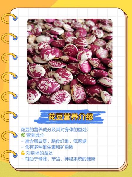 花豆怎么煮容易烂_花豆的功效与作用-第3张图片-山城妙识 花豆怎么煮容易烂_花豆的功效与作用-第3张图片-山城妙识