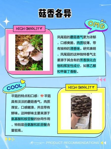 凤尾菇的功效与作用及禁忌_什么人不能吃-第2张图片-山城妙识 凤尾菇的功效与作用及禁忌_什么人不能吃-第2张图片-山城妙识
