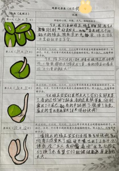 四年级绿豆芽成长日记怎么写_绿豆芽观察记录表模板-第1张图片-山城妙识