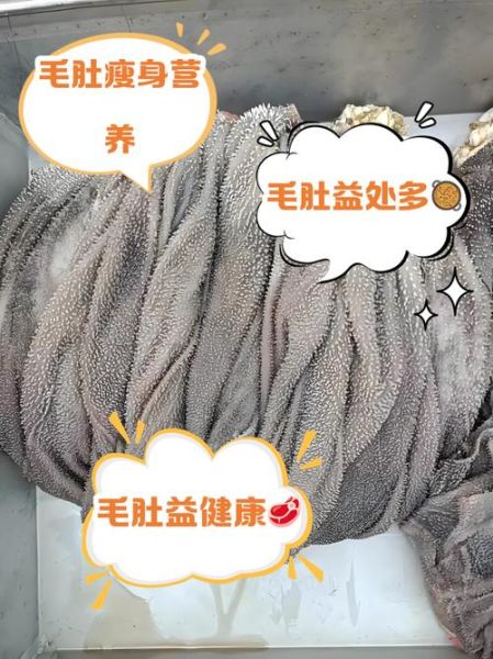 毛肚热量高吗_毛肚的营养价值及功效-第1张图片-山城妙识 毛肚热量高吗_毛肚的营养价值及功效-第1张图片-山城妙识