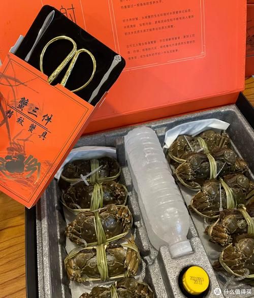 大闸蟹礼盒是活的还是死的_如何判断新鲜度-第1张图片-山城妙识 大闸蟹礼盒是活的还是死的_如何判断新鲜度-第1张图片-山城妙识