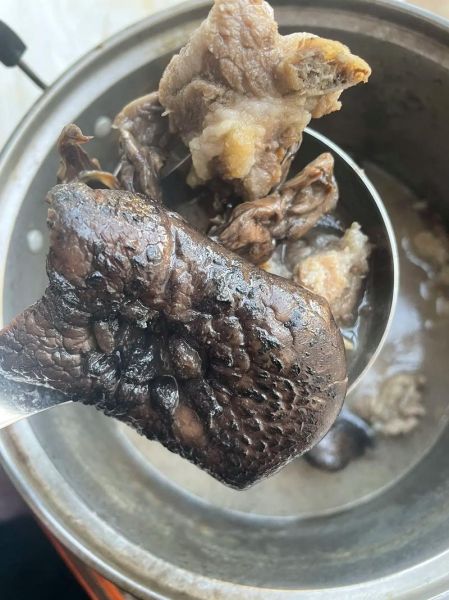 虎掌菌怎么做好吃_虎掌菌的做法大全-第1张图片-山城妙识