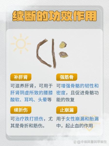 盐续断的功效与作用_盐续断怎么吃效果最好-第2张图片-山城妙识 盐续断的功效与作用_盐续断怎么吃效果最好-第2张图片-山城妙识