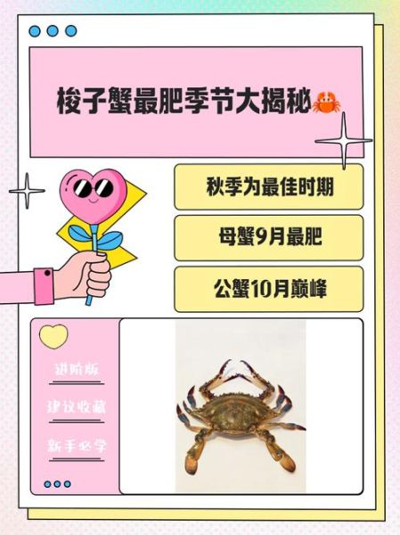 梭子蟹一年有几次鱼汛_梭子蟹最佳捕捞时间-第2张图片-山城妙识 梭子蟹一年有几次鱼汛_梭子蟹最佳捕捞时间-第2张图片-山城妙识