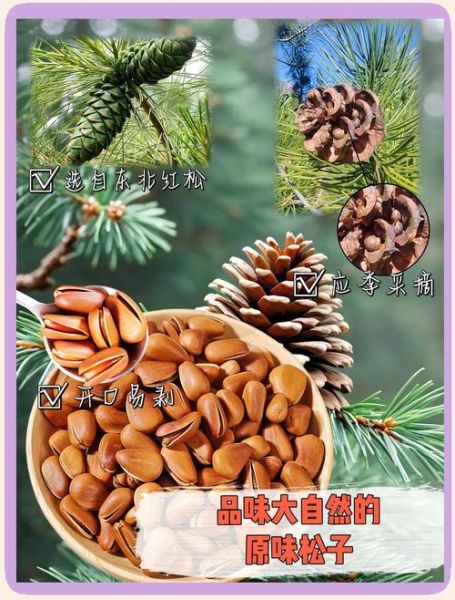 东北特产有哪些零食_哪些值得买-第1张图片-山城妙识 东北特产有哪些零食_哪些值得买-第1张图片-山城妙识