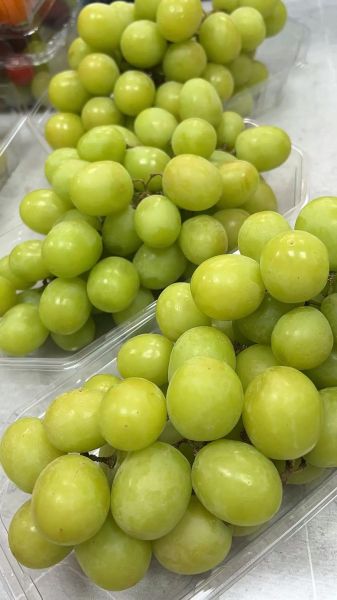 青提子热量是多少_减肥能吃吗-第2张图片-山城妙识 青提子热量是多少_减肥能吃吗-第2张图片-山城妙识