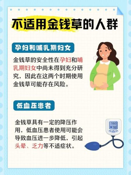 肾结石最怕一味中药_金钱草怎么用-第3张图片-山城妙识