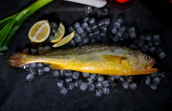 黄瓜鱼和黄花鱼的区别_哪个更好吃-第3张图片-山城妙识 黄瓜鱼和黄花鱼的区别_哪个更好吃-第3张图片-山城妙识