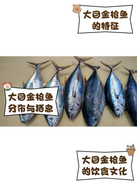 10斤金枪鱼多少钱_金枪鱼价格为什么差距大-第1张图片-山城妙识 10斤金枪鱼多少钱_金枪鱼价格为什么差距大-第1张图片-山城妙识
