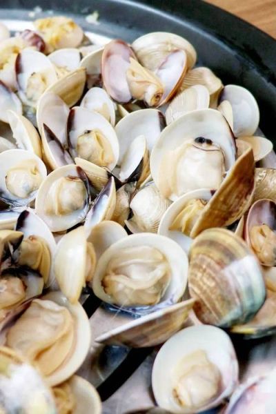 沙白有什么营养价值_沙白功效与作用有哪些-第1张图片-山城妙识 沙白有什么营养价值_沙白功效与作用有哪些-第1张图片-山城妙识