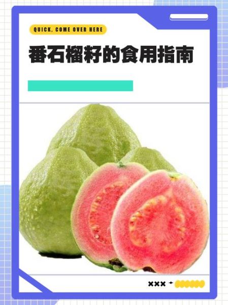 番石榴的籽可以吃吗_番石榴籽的功效与作用-第3张图片-山城妙识 番石榴的籽可以吃吗_番石榴籽的功效与作用-第3张图片-山城妙识