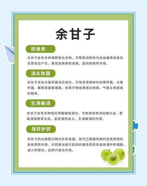 余甘子功效与作用_余甘子怎么吃效果最好-第1张图片-山城妙识 余甘子功效与作用_余甘子怎么吃效果最好-第1张图片-山城妙识