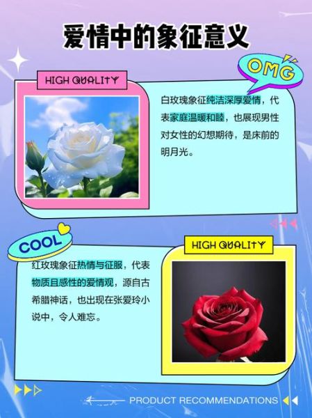 红玫瑰与白玫瑰的花语区别_送花前必看-第1张图片-山城妙识