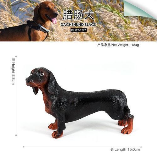 腊肠狗是什么梗_腊肠狗梗怎么来的-第3张图片-山城妙识 腊肠狗是什么梗_腊肠狗梗怎么来的-第3张图片-山城妙识