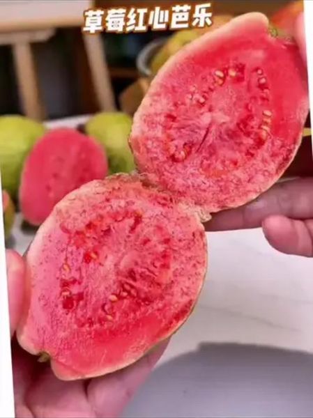 芭乐草莓榴莲哪个热量高_孕妇能吃吗-第3张图片-山城妙识 芭乐草莓榴莲哪个热量高_孕妇能吃吗-第3张图片-山城妙识