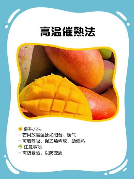 青芒果怎么催熟_青芒果快速变软方法-第2张图片-山城妙识 青芒果怎么催熟_青芒果快速变软方法-第2张图片-山城妙识