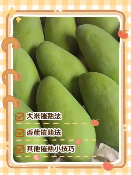 青芒果怎么催熟_青芒果快速变软方法-第1张图片-山城妙识 青芒果怎么催熟_青芒果快速变软方法-第1张图片-山城妙识