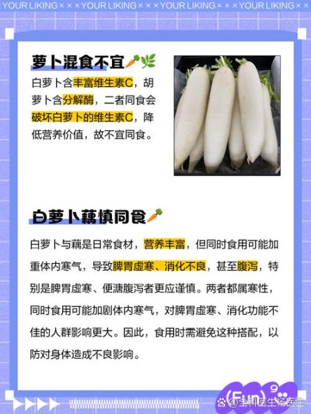 白萝卜不能和什么一起吃_白萝卜相克食物表-第1张图片-山城妙识 白萝卜不能和什么一起吃_白萝卜相克食物表-第1张图片-山城妙识