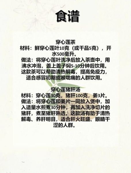 穿心莲蔬菜的功效与作用_穿心莲蔬菜怎么做好吃-第2张图片-山城妙识