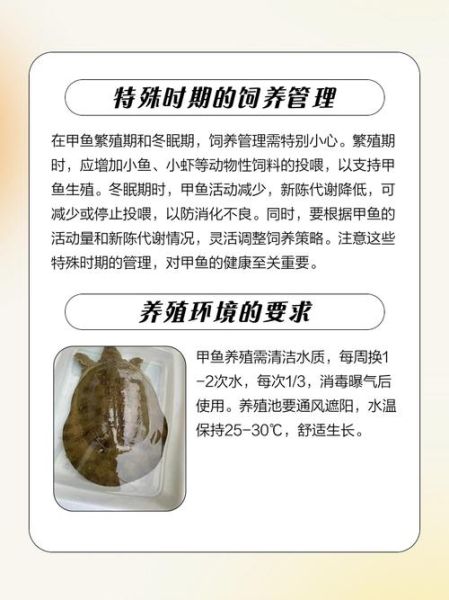 家养甲鱼吃什么食物_甲鱼饲料怎么选-第1张图片-山城妙识 家养甲鱼吃什么食物_甲鱼饲料怎么选-第1张图片-山城妙识