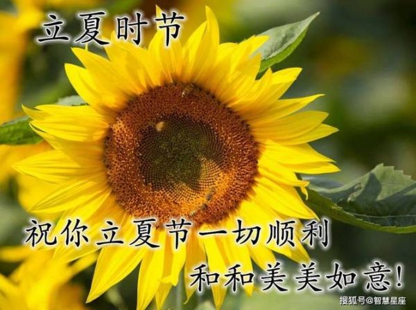 立夏祝福语怎么写_立夏祝福语有哪些-第2张图片-山城妙识