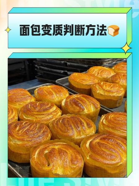 面包怎么保存才松软_面包发霉还能吃吗-第3张图片-山城妙识 面包怎么保存才松软_面包发霉还能吃吗-第3张图片-山城妙识