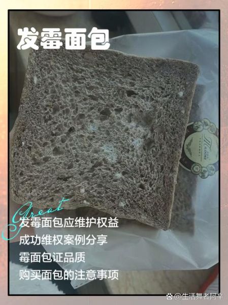 面包怎么保存才松软_面包发霉还能吃吗-第2张图片-山城妙识 面包怎么保存才松软_面包发霉还能吃吗-第2张图片-山城妙识