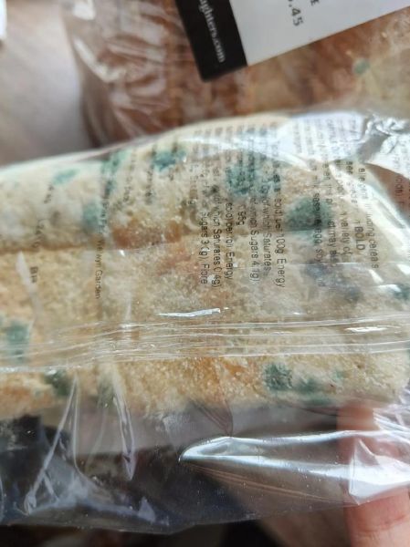 面包怎么保存才松软_面包发霉还能吃吗-第1张图片-山城妙识 面包怎么保存才松软_面包发霉还能吃吗-第1张图片-山城妙识