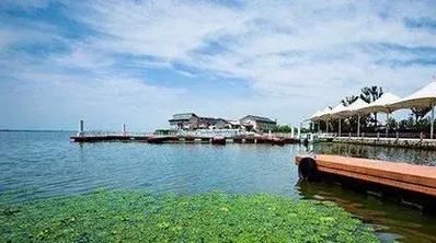 2019阳澄湖大闸蟹蟹王拍卖价格_拍卖规则揭秘-第3张图片-山城妙识 2019阳澄湖大闸蟹蟹王拍卖价格_拍卖规则揭秘-第3张图片-山城妙识